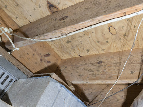 Soda Blasting Mold Remediation – Soda Works